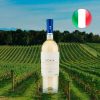 Tenuta Sant`Antonio Scaia Bianco 2018 | Center Gourmet Vinhos e ...