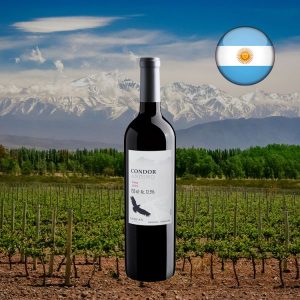 Condor Andino Malbec 2019 | Center Gourmet Vinhos e acompanhamentos