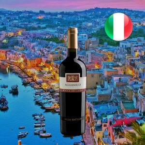 Villa Matilde Rocca dei Leoni Aglianico 2015 | Center Gourmet Vinhos e ...