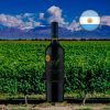 Atrevida Malbec 2019 | Center Gourmet Vinhos e acompanhamentos