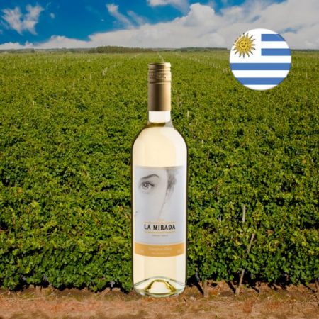 La Mirada Sauvignon Blanc 2020 | Center Gourmet Vinhos e acompanhamentos