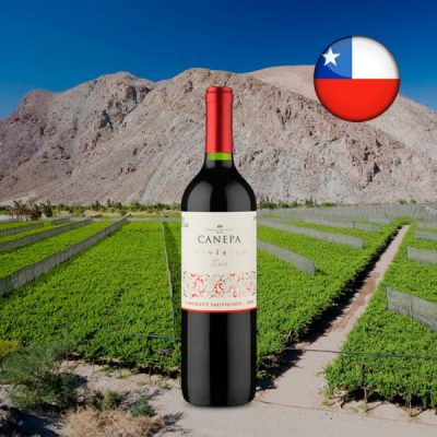 Canepa Novísimo Cabernet Sauvignon 2019 | Center Gourmet Vinhos e ...