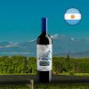 El Molino Malbec 2020 | Center Gourmet Vinhos e acompanhamentos