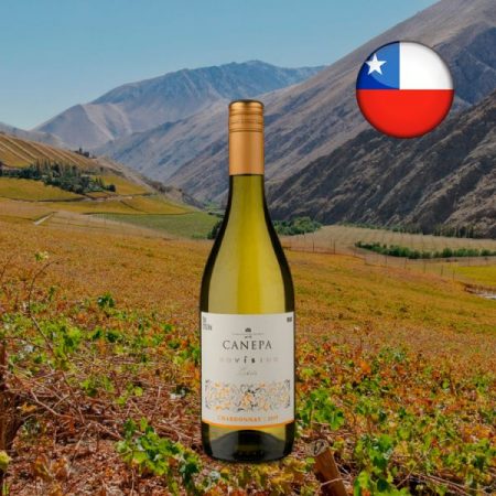 Canepa Novísimo Chardonnay 2019 | Center Gourmet Vinhos e acompanhamentos