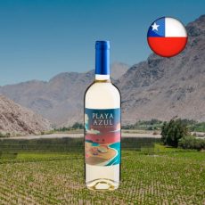 Playa Azul Sauvignon Blanc 2020 | Center Gourmet Vinhos e acompanhamentos
