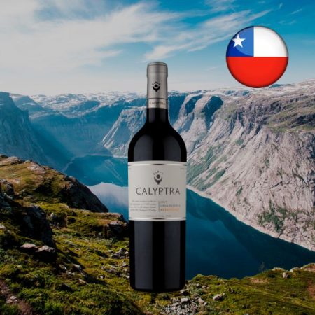 Calyptra Assemblage Gran Reserva 2017 | Center Gourmet Vinhos e ...