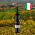 Fantinel La Roncaia D.O.C. Friuli Colli Orientali Refosco 2013 | Center ...