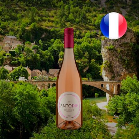 Antodie I.G.P. Pays dOc Grenache Rosé 2020 | Center Gourmet Vinhos e ...