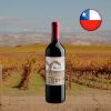 Reyna Cabernet Sauvignon Central Valley D.O. 2020 - Vinho tinto chileno ...