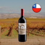 Reyna Cabernet Sauvignon Central Valley D.O. 2020 - Vinho tinto chileno ...