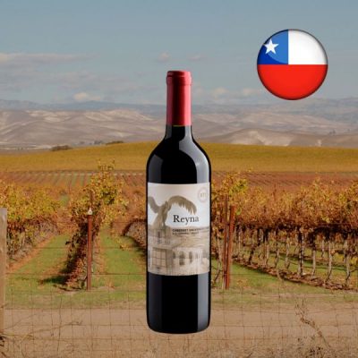 Reyna Cabernet Sauvignon Central Valley D.O. 2020 - Vinho tinto chileno ...