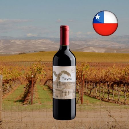 Reyna Cabernet Sauvignon Central Valley D.O. 2020 - Vinho tinto chileno ...