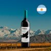 Condor Peak Sweet Red Wine 2020 | Center Gourmet Vinhos e acompanhamentos