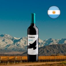 Condor Peak Sweet Red Wine 2020 | Center Gourmet Vinhos e acompanhamentos