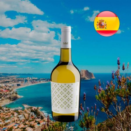 Galeam Muscat Organic Wine 2019 | Center Gourmet Vinhos e acompanhamentos