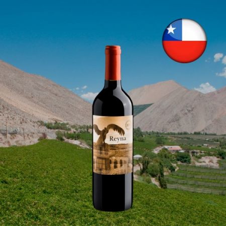 Reyna Cabernet Sauvignon-Merlot Central Valley D.O. 2020 - Vinho tinto ...