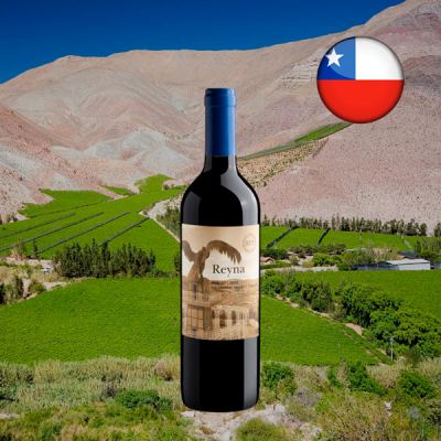 Reyna Merlot Central Valley D.O. 2020 - Vinho tinto chileno | Center ...