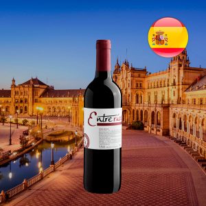 Entre Ríos Vino Tinto - Vinho tinto espanhol | Center Gourmet Vinhos e ...