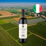 Conte Fosco I.G.T. Sangiovese Rubicone 2020 - Vinho tinto italiano ...