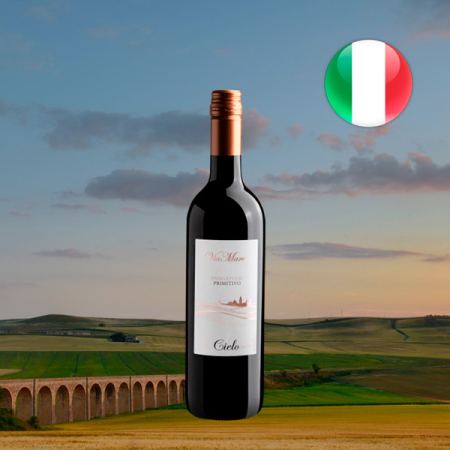 Maestro Italiano Primitivo Puglia 2019 | Center Gourmet Vinhos e ...