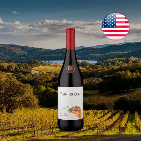 Louis Chevallier Pinot Noir 2019 | Center Gourmet Vinhos e acompanhamentos
