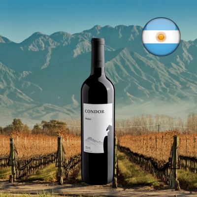 Belhara Estate Epic Wines Malbec Old Vine Selection 2019 | Center ...