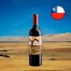 Reyna Cabernet Sauvignon-Merlot Central Valley DO 2021 - Vinho tinto ...