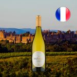 Antodie IGP Pays dOc Viognier 2020 - Vinho branco francês | Center ...