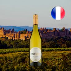 Antodie IGP Pays dOc Viognier 2020 - Vinho branco francês | Center ...