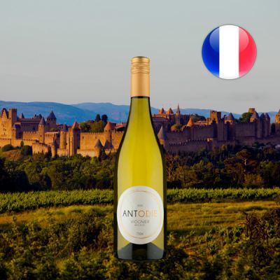 Antodie IGP Pays dOc Viognier 2020 - Vinho branco francês | Center ...
