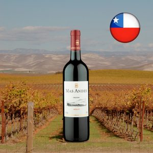 Baron Philippe de Rothschild Mas Andes Merlot 2021 - Vinho tinto ...