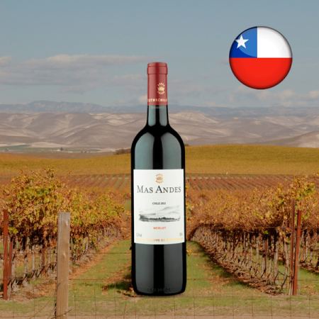 Baron Philippe de Rothschild Mas Andes Merlot 2021 - Vinho tinto ...