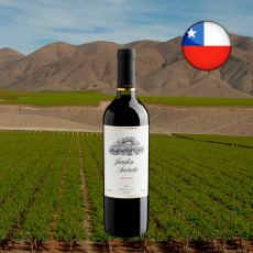 Jardin Secreto Red Blend Reserve 2021 - Vinho tinto chileno | Center ...