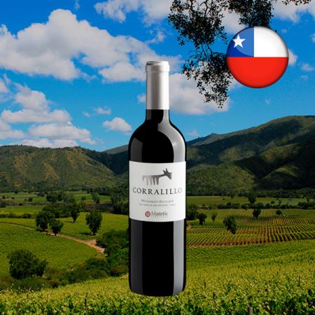 Matetic Corralillo Winemaker's Blend Valle de San Antonio DO 2019 ...