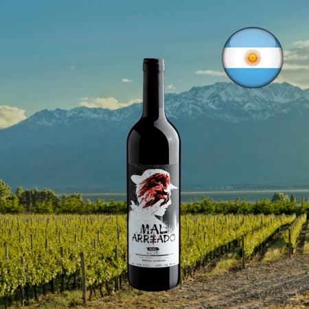 Mal Arreado Malbec 2021 - Vinho tinto argentino | Center Gourmet Vinhos ...