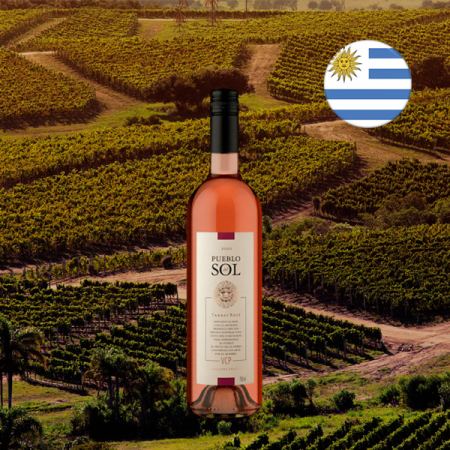 Pueblo del Sol Tannat Rosé 2020 - Vinho rosé uruguaio | Center Gourmet ...
