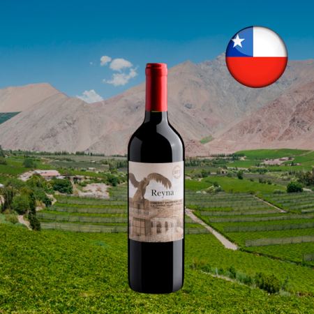 Reyna Cabernet Sauvignon Central Valley DO 2021 - Vinho tinto chileno ...
