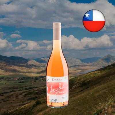 Leyda Rosé Pinot Noir Valle de Leyda DO 2021 - Vinho rosé chileno ...