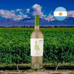 Chac Chac Sauvignon Blanc 2021 - Vinho branco argentino | Center ...