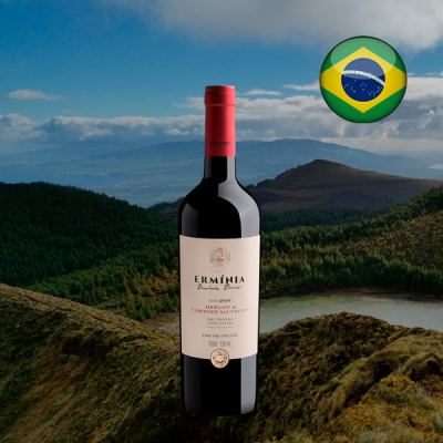 Reyna Cabernet Sauvignon-Merlot Central Valley DO 2021 - Vinho tinto ...