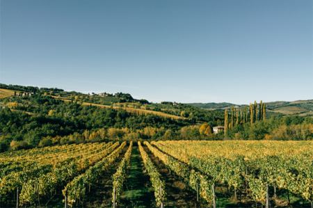 Rocca Chianti DOCG 2021 - Vinho tinto italiano | Center Gourmet Vinhos ...