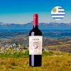 Garzón Reserva Tannat - Vinho tinto uruguaio | Center Gourmet Vinhos e ...