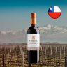 Atrevida Cabernet Sauvignon 2019 | Center Gourmet Vinhos e acompanhamentos