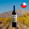 Reyna Merlot Central Valley DO 2022 - Vinho tinto chileno | Center ...