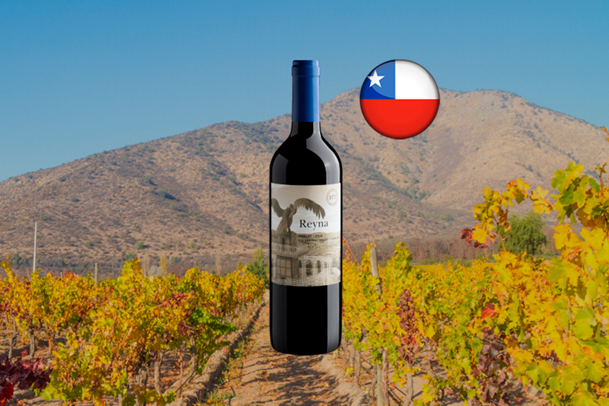 Reyna Merlot Central Valley DO 2022 - Vinho tinto chileno | Center ...