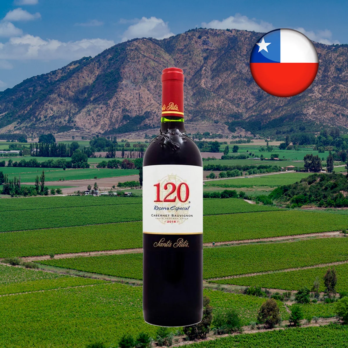 Santa Rita 120 Reserva Especial Cabernet Sauvignon - Vinho tinto ...