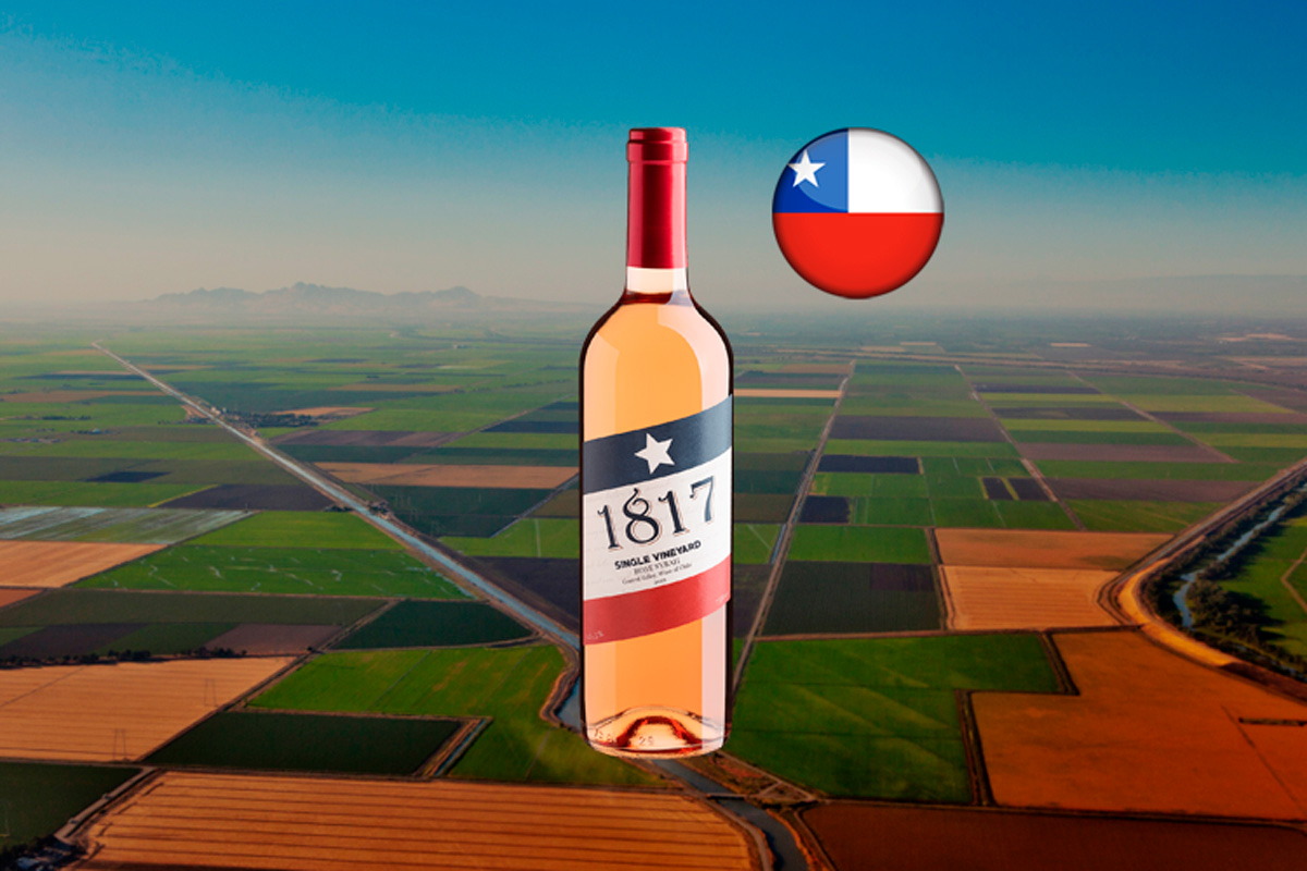 1817 Single Vineyard Rosé Syrah 2022 - Vinho rosé chileno | Center ...