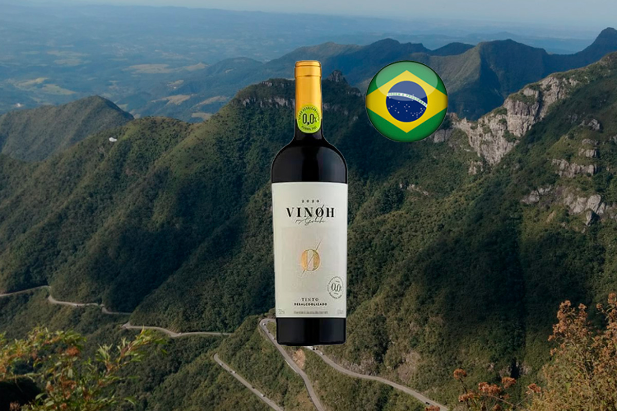 Vinoh Merlot 2020 - Vinho tinto sem álcool brasileiro | Center Gourmet ...