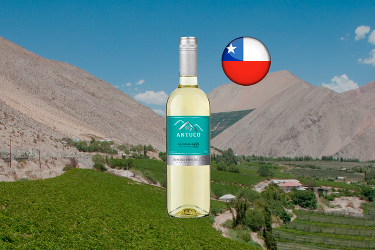 Antuco Reserva Especial Sauvignon Blanc 2021 - Vinho branco chileno ...