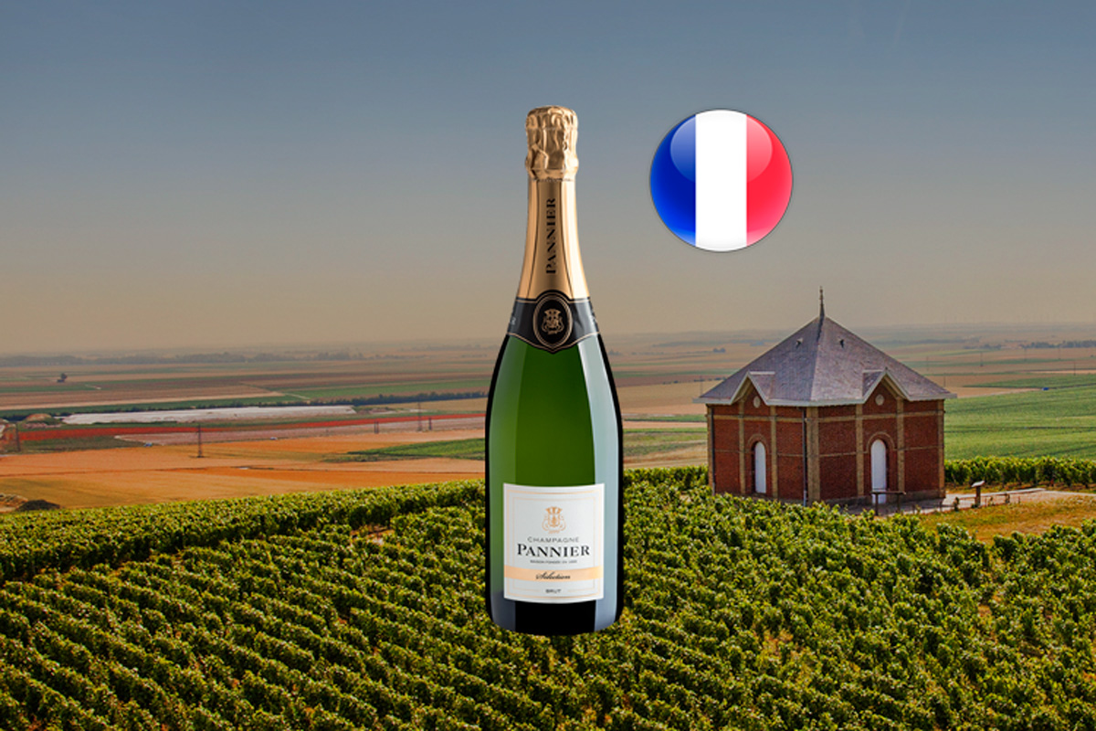 Champagne Pannier Sélection Brut - Espumante francês | Center Gourmet ...